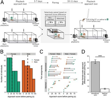 Selective Pairing To Form Mismatched And Matched Pairs Based On Initial Download Scientific