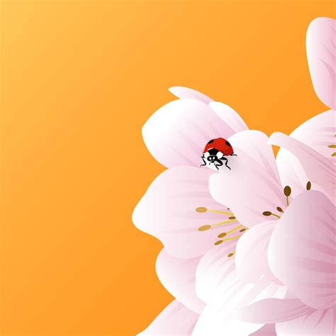 Uma Joaninha Senta Se Nas Delicadas Flores Brancas E Cor De Rosa De Uma