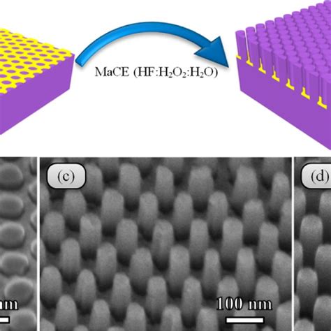 A Schematic Diagram For The Fabrication Of Si Nanowire Array By Using Download Scientific