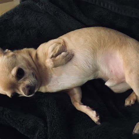 はちhachi Hachi1114 • Threads Say More はちhachi Hachi1114 • Threads Say More