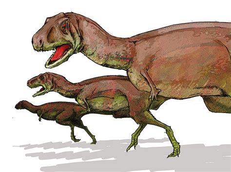 Aucasaurus Fossil Wiki Fandom
