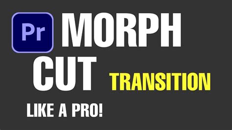 Morph Cut Transition In Adobe Premiere Correct Way To Apply It