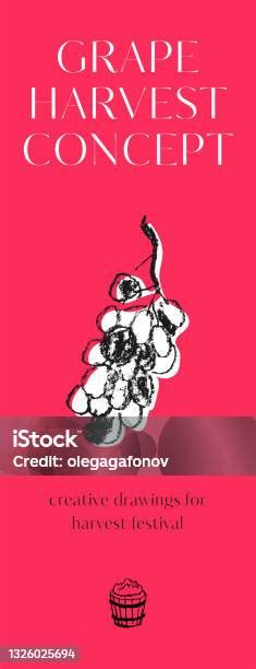 수제 와인을 위한 수직 배너 무리 포도 벡터 일러스트 와인 제조 전단지 와인에 대한 스톡 벡터 아트 및 기타 이미지 와인 유기농 이탈리아 Istock