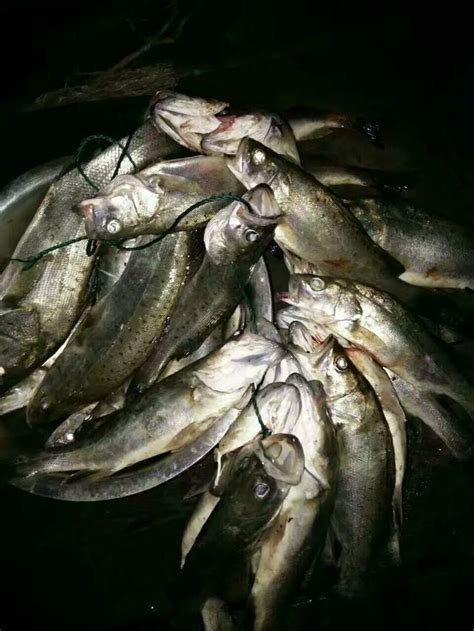 釣魚釣了那麼久，終於第一次到海邊去釣！ 每日頭條