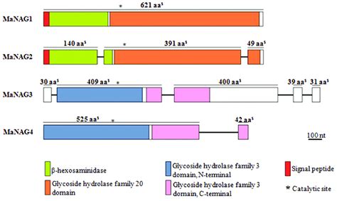 Domain Structure Modular Domain Driven Design In Vuejs Vue School
