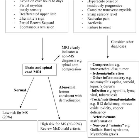 Pdf Differential Diagnosis Of Suspected Multiple Sclerosis A Consensus Approach