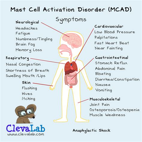 11 Mast Cell Activation Syndrome Ideas Mast Cell Activation Syndrome Mast Cell Masts