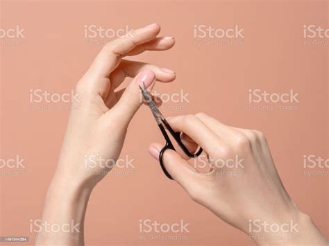 중성 베이지색 배경에 매니큐어 가위를 들고 있는 손 자체 제작 매니큐어 손톱 집에서 손 관리 개념 미용실 미용사 또는 매니큐어