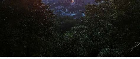 校园日签丨再爱一次人间 朱磊 邹宜辰 审核