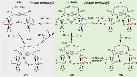 Biomimetic Second Coordination Sphere Effect Within Cu Peptoid Electrocatalyst Enables