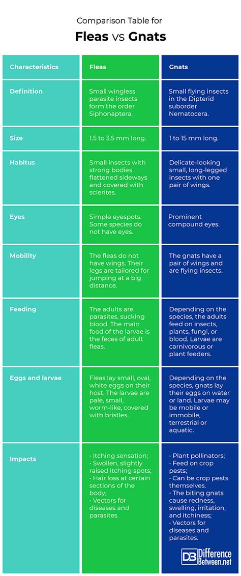 Difference Between Fleas And Gnats Difference Between Fleas Vs Gnats
