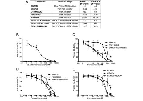 Potency Of Targeted Drugs In Gbm Derived Primary Cells Primary Gbm Download Scientific Diagram