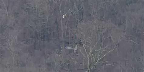 Ntsb Releases Initial Report From Deadly New York Plane Crash