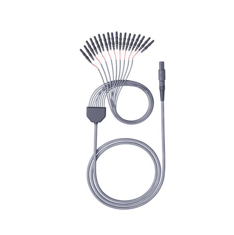 Axon R Bci Neural Hub With Ar And Ai Axon R Research Biopac