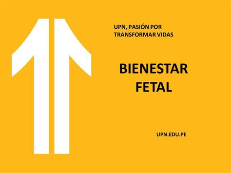 Clase Sem 13 Ppt Prueba Cst Luz Espinoza Udocz