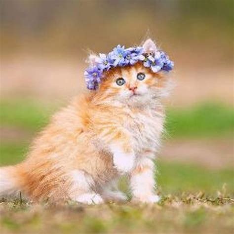 Al5grjvgksunjmhioqjdhwjfl0ak7jqpdmnbcrrxkzus900 C K C0x00ffffff No Rj