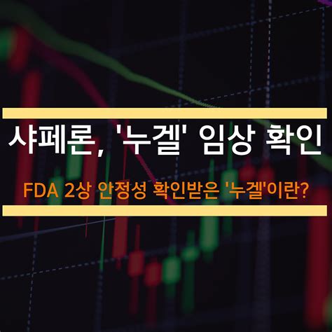 급등 전망 샤페론 급등 누겔 2상 안정성 확인 누겔과 경쟁력