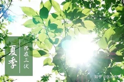 三伏天喝绿豆汤，消暑解渴，注意一物不用！ 知乎