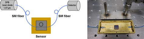 A Microring Resonator Sensor For Sensitive Detection Of 1 3 5 Trinitrotoluene Tnt
