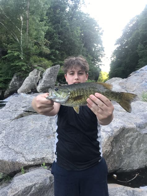 Caught My New Pb Bass Yesterday Very Excited Rfishing