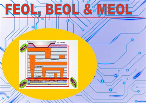 Feol Meol Beol ~