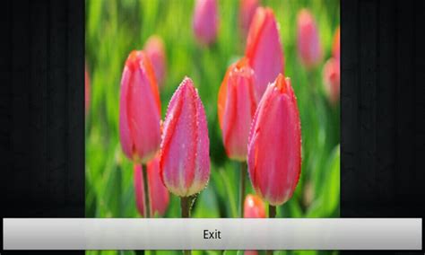 Android 용 Photo Slideshow Maker Apk 다운로드