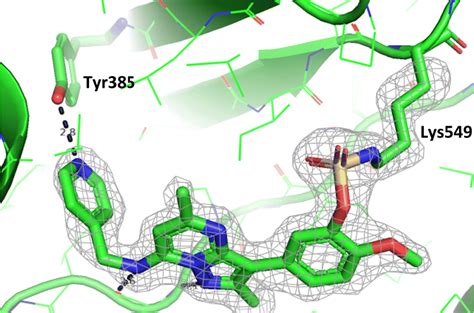 Covalent Modifiers Covalent Targeting Of Non Cysteine Residues In Pi4kiiiβ