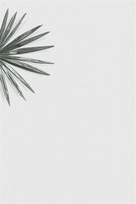 Free Photos Png Stickers Wallpapers And Backgrounds Rawpixel