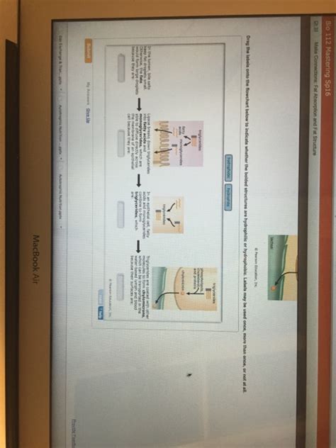 Drag The Labels Onto The Flowchart To Show The Sequen Vrogue Co