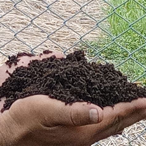 Organic Vermicompost Application Agriculture At Best Price In Jind