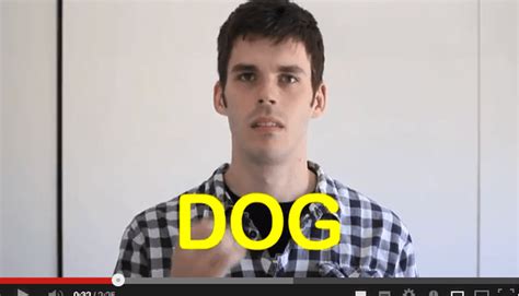 Cat Friend Vs Dog Friend Pt 2 Yummypets