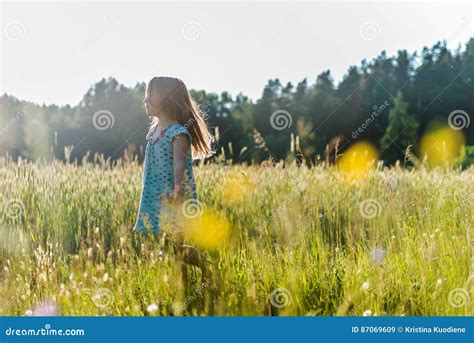 Girl In Field Stock Image Image Of Nature Hair Summer 87069609