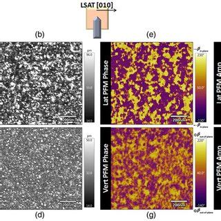 Representative Dart Pfm Images Of Nm B Tfmo On Sto Synthesized