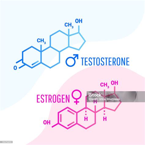 白い背景に液体流体形状を持つエストロゲンとテストステロンホルモン分子式ベクトルの図 テストステロンのベクターアート素材や画像を多数ご用意