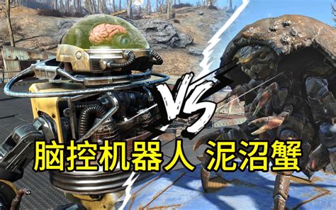辐射斗兽场 脑控机器人 VS 泥沼蟹 柯尔不短 柯尔不短 哔哩哔哩视频