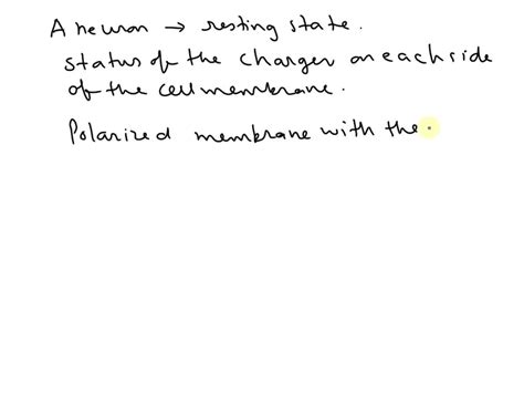 Solved When A Neuron Is At Its Resting State What Is The Status Of