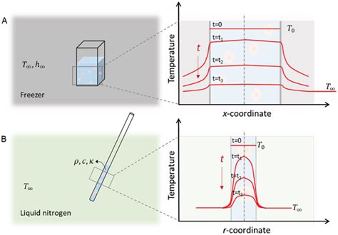 Schematic Showing Models Of Transient Heat Transfer A Schematics Of