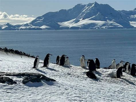 Women And Girls Sudburian Joins All Female Expedition To Antarctica