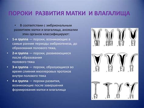 Развитие и пороки развития женских половых органов Online Presentation