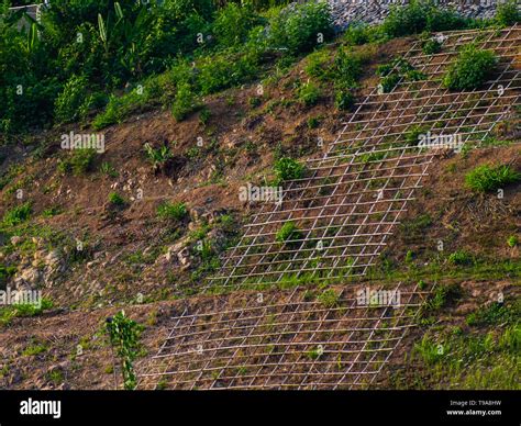 Soil Erosion In Field
