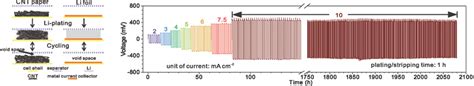 Robust Expandable Carbon Nanotube Scaffold For Ultrahigh‐capacity Lithium‐metal Anodes Sun