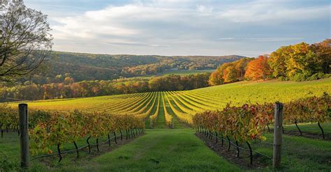 Editors Picks Best Of Connecticut Wine Trail Travelish