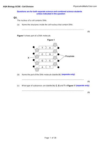 Edexcel Igcse Gcse Biology Stem Cells Teaching Resources