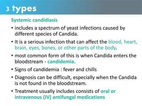Fungi Yeast Filamentous And Dimorphic Pdf