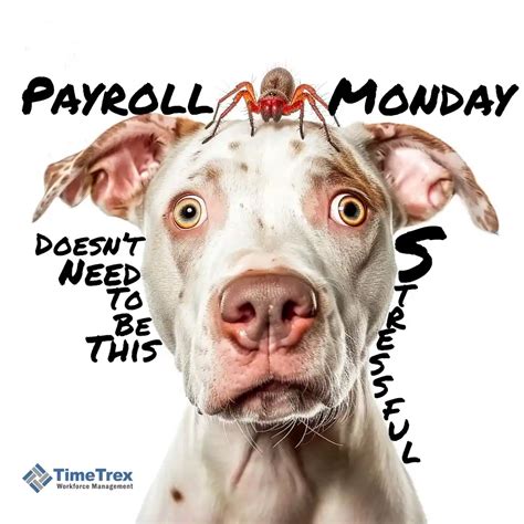 Payroll Day Memes
