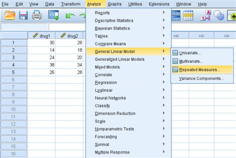 How To Perform A Repeated Measures Anova In Spss