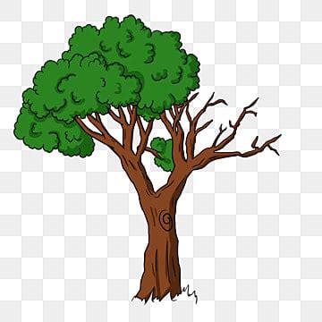 Big Tree Half PNG Vector PSD And Clipart With Transparent Background For Free Download Pngtree
