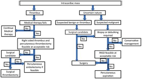 Flowchart For Suggested Management Of Intracardiac Mass Download