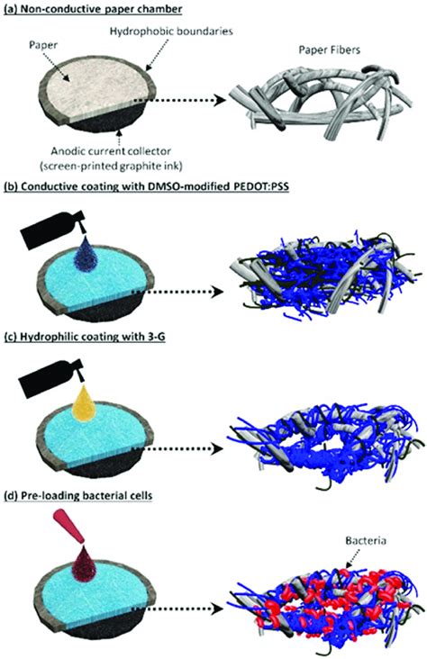 Schematic Illustration Of The Fabrication Steps For Conductive And Download Scientific Diagram