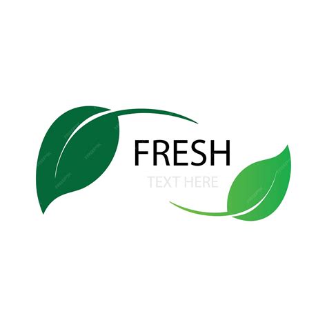 Premium Vector Fresh Leaf Template Vector